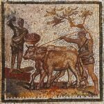 Roman breeding « IMPERIUM ROMANUM