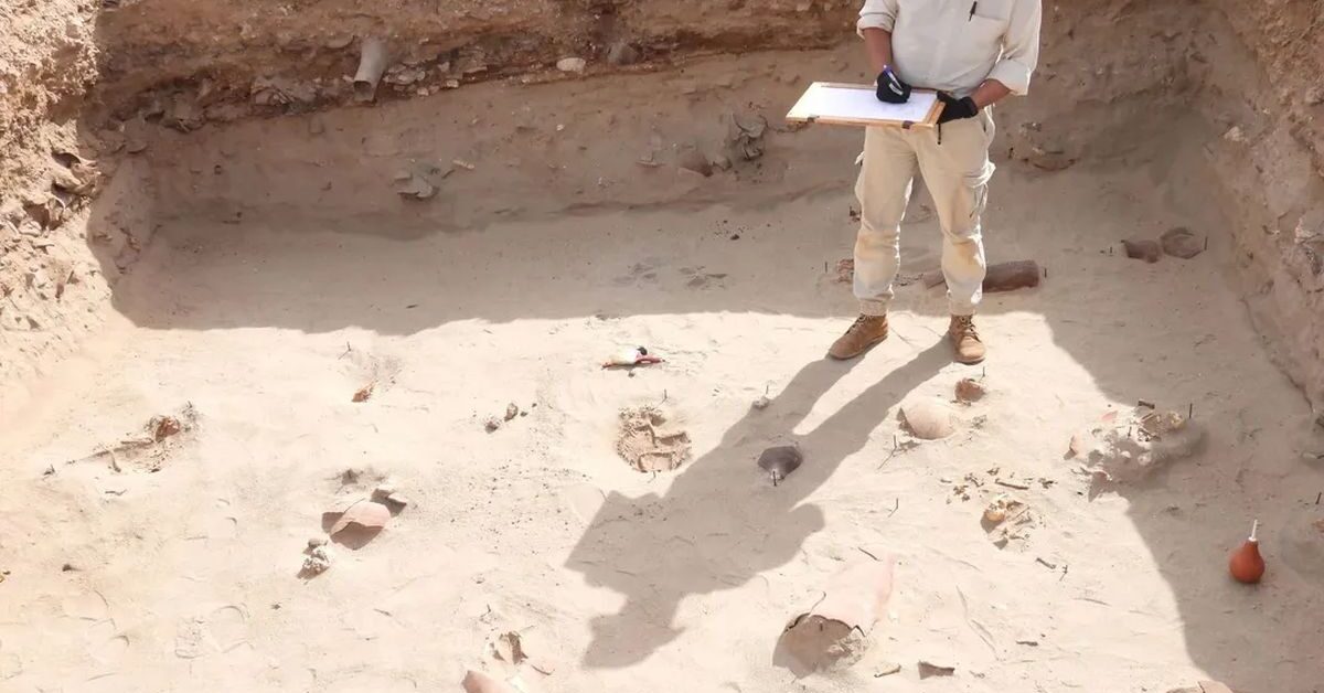Ancient letters were discovered in an animal cemetery in Egypt ...